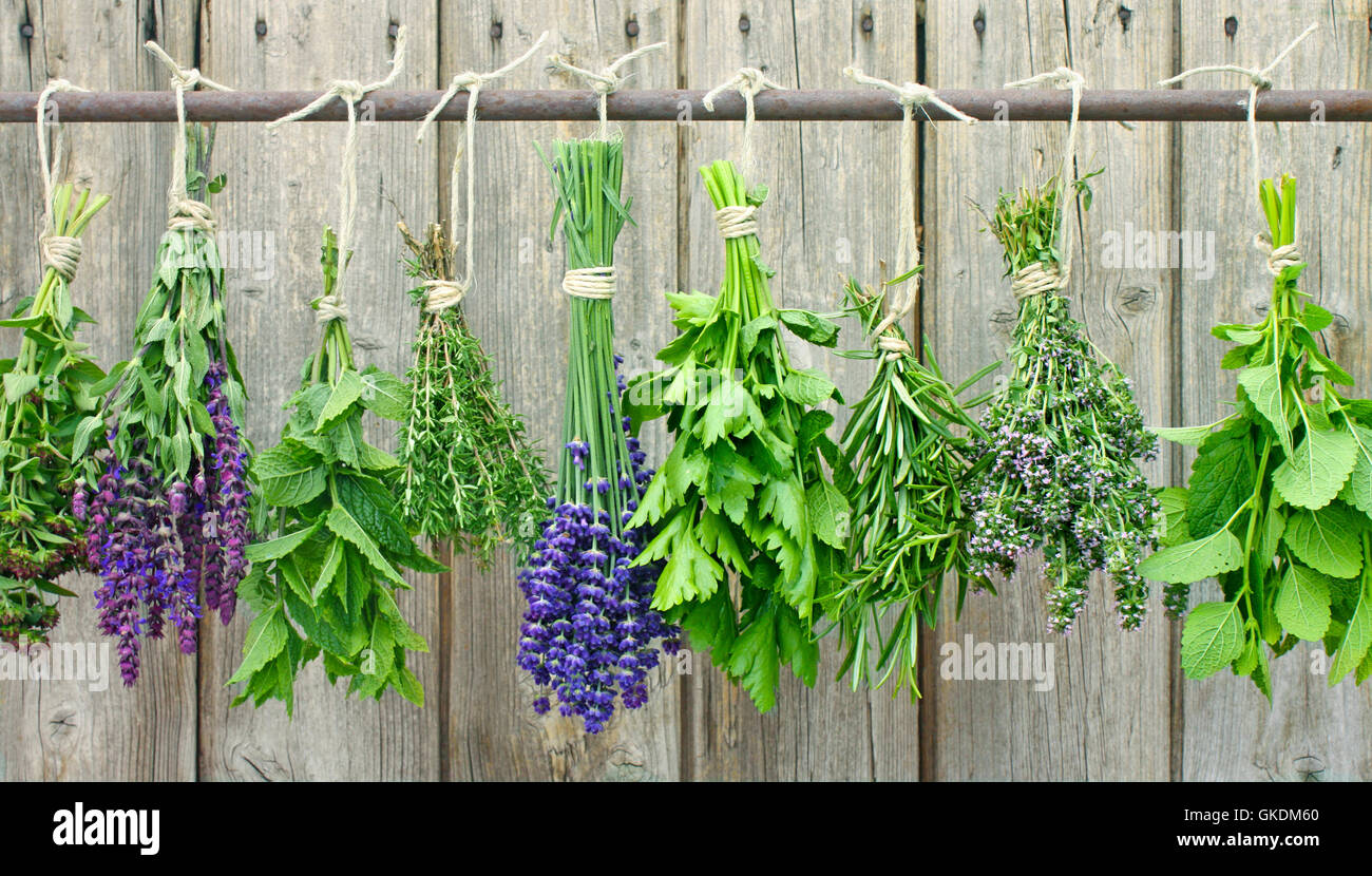 Bundle of herbs hi-res stock photography and images - Alamy