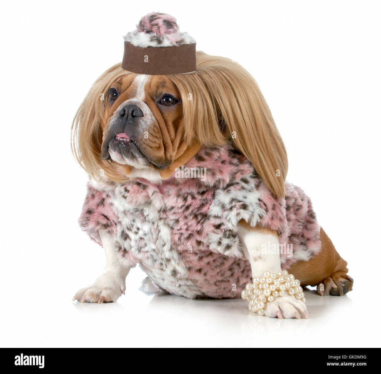 Female model wearing matching hi-res stock photography and images - Alamy