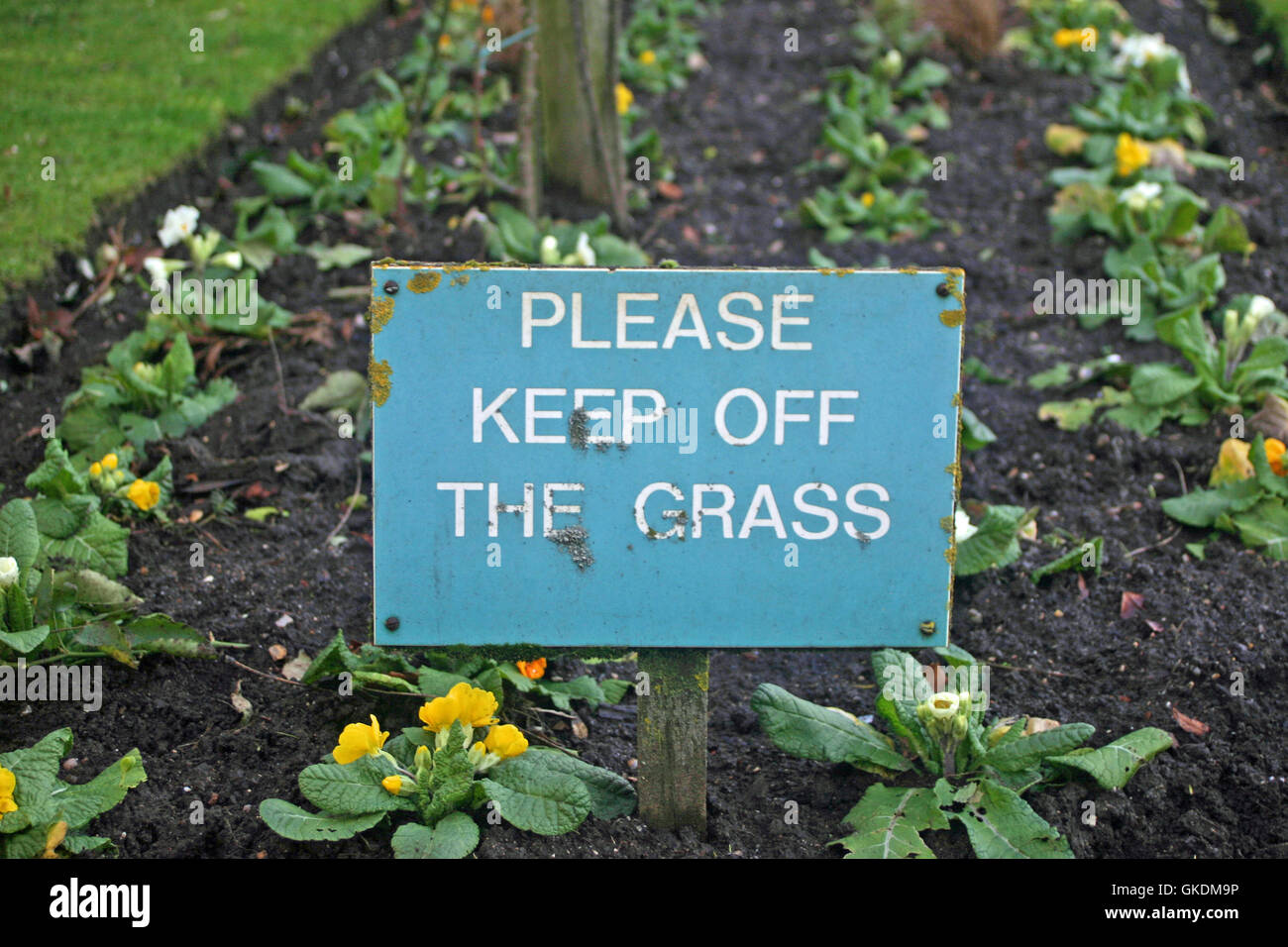 PLEASE KEEP OFF THE GRASS sign in white upper case lettering on blue ...