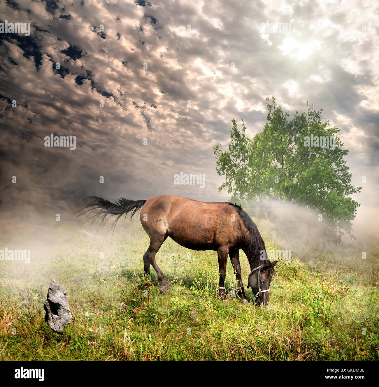 tree horse animal Stock Photo - Alamy