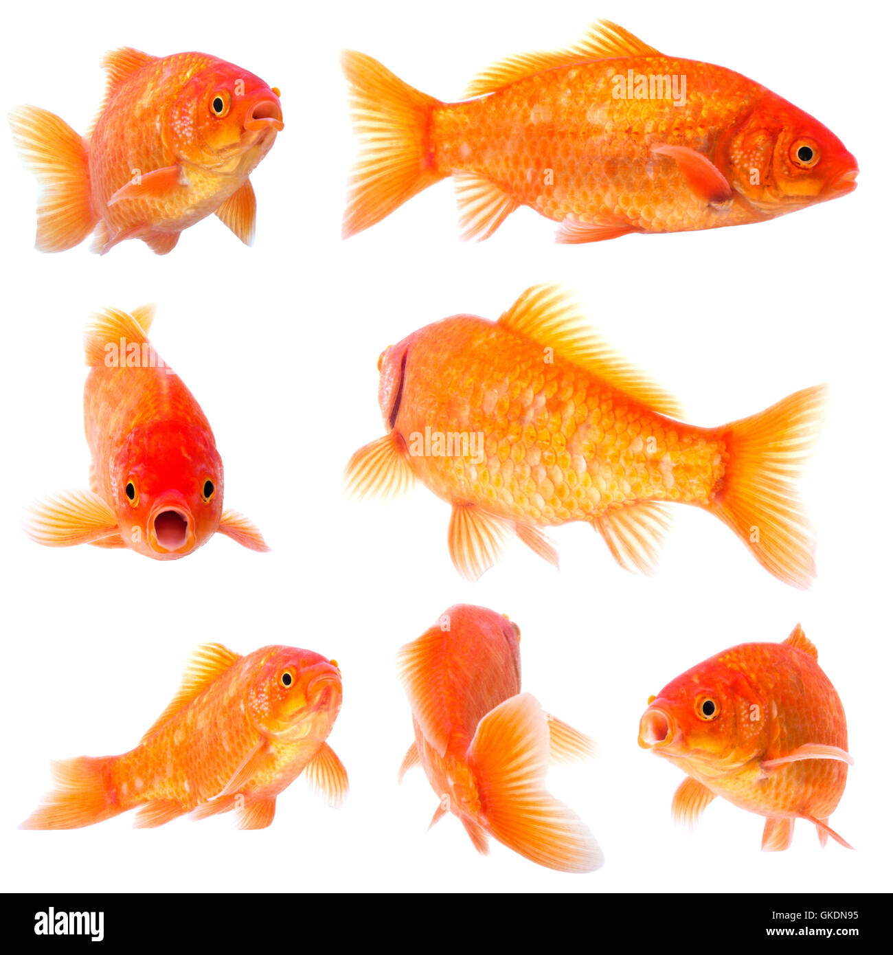 isolated model design Stock Photo - Alamy