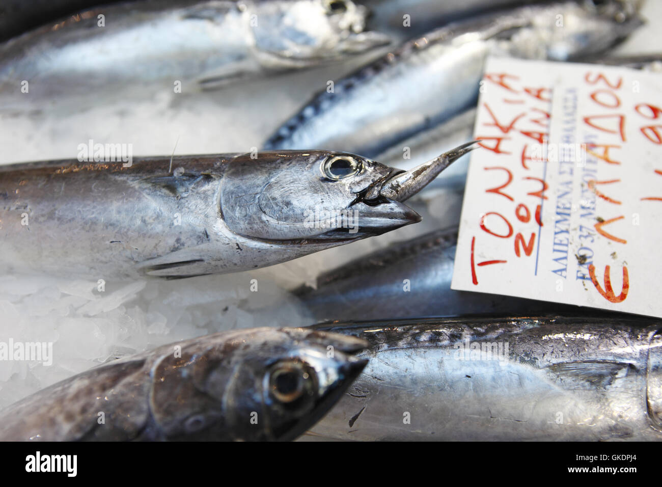 Big fish little fish hi-res stock photography and images - Alamy