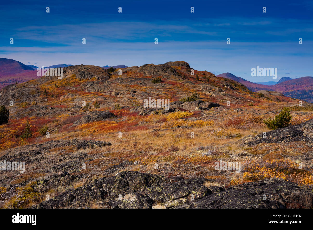 Canada tundra distance hi-res stock photography and images - Alamy
