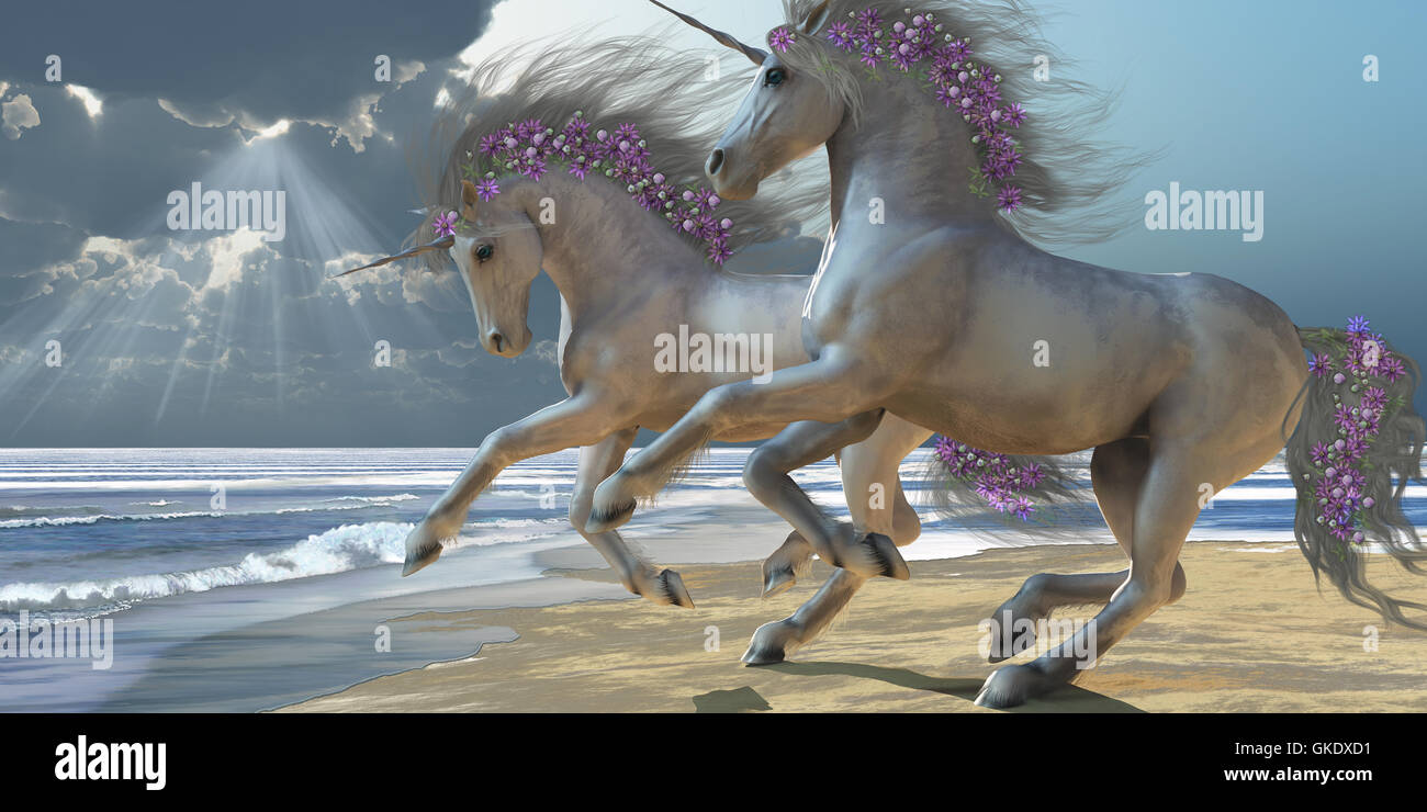 Fantasy unicorns hi-res stock photography and images - Alamy