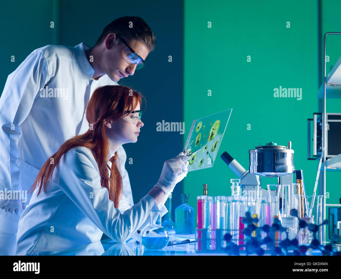 woman study humans Stock Photo - Alamy