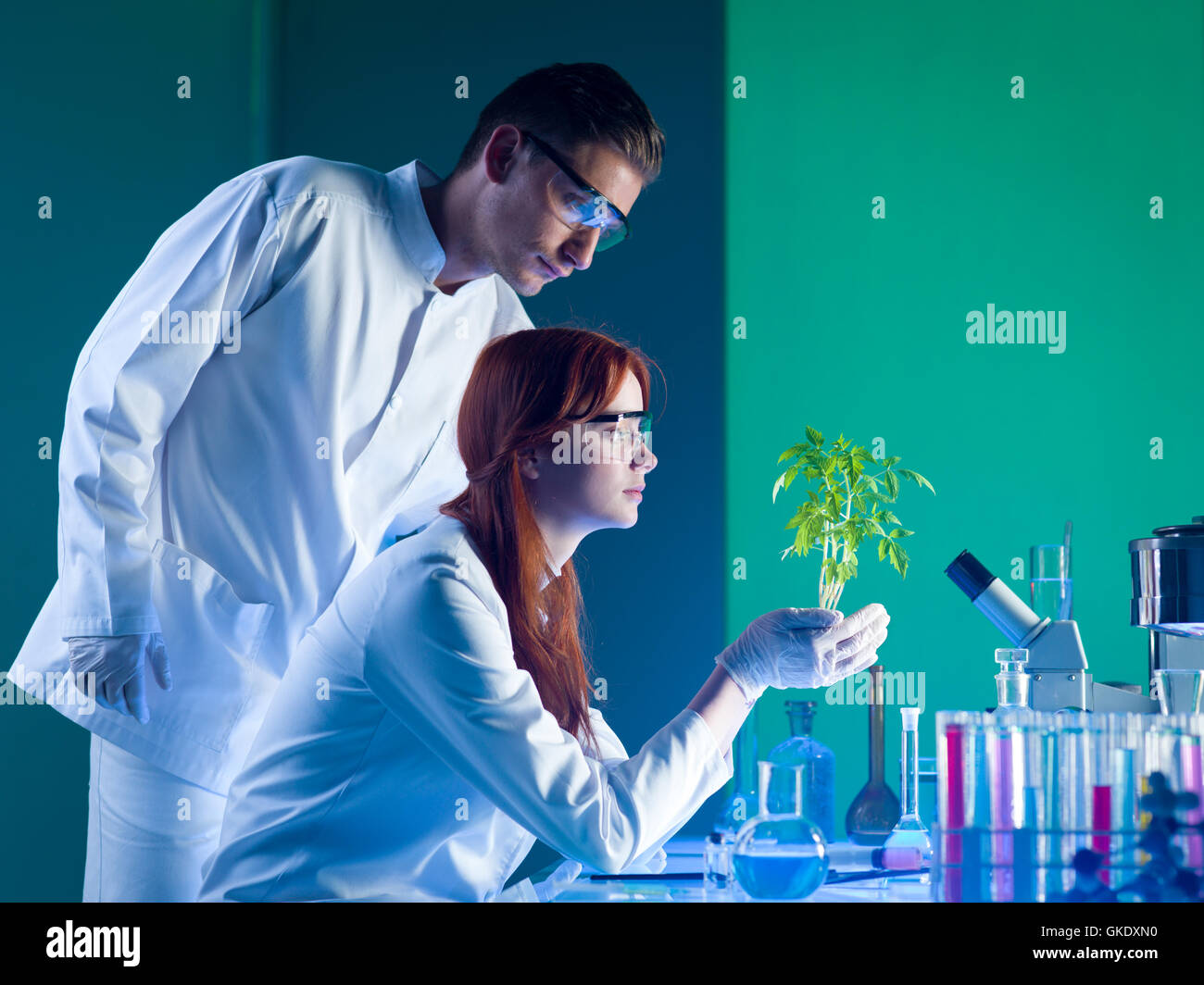 woman humans human beings Stock Photo - Alamy