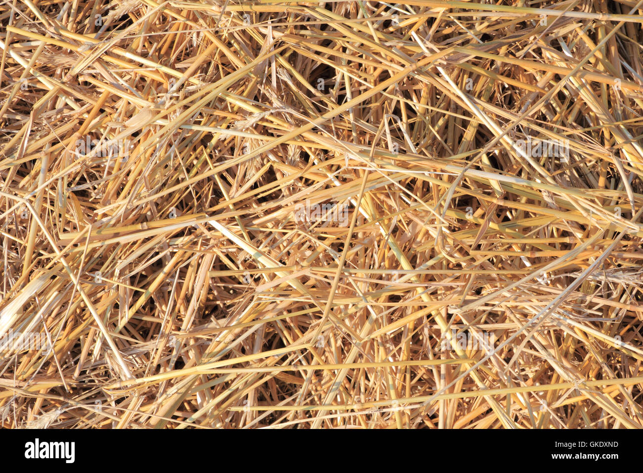 dry straw texture Stock Photo - Alamy