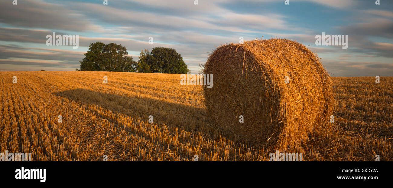 fields roll straw ball Stock Photo - Alamy