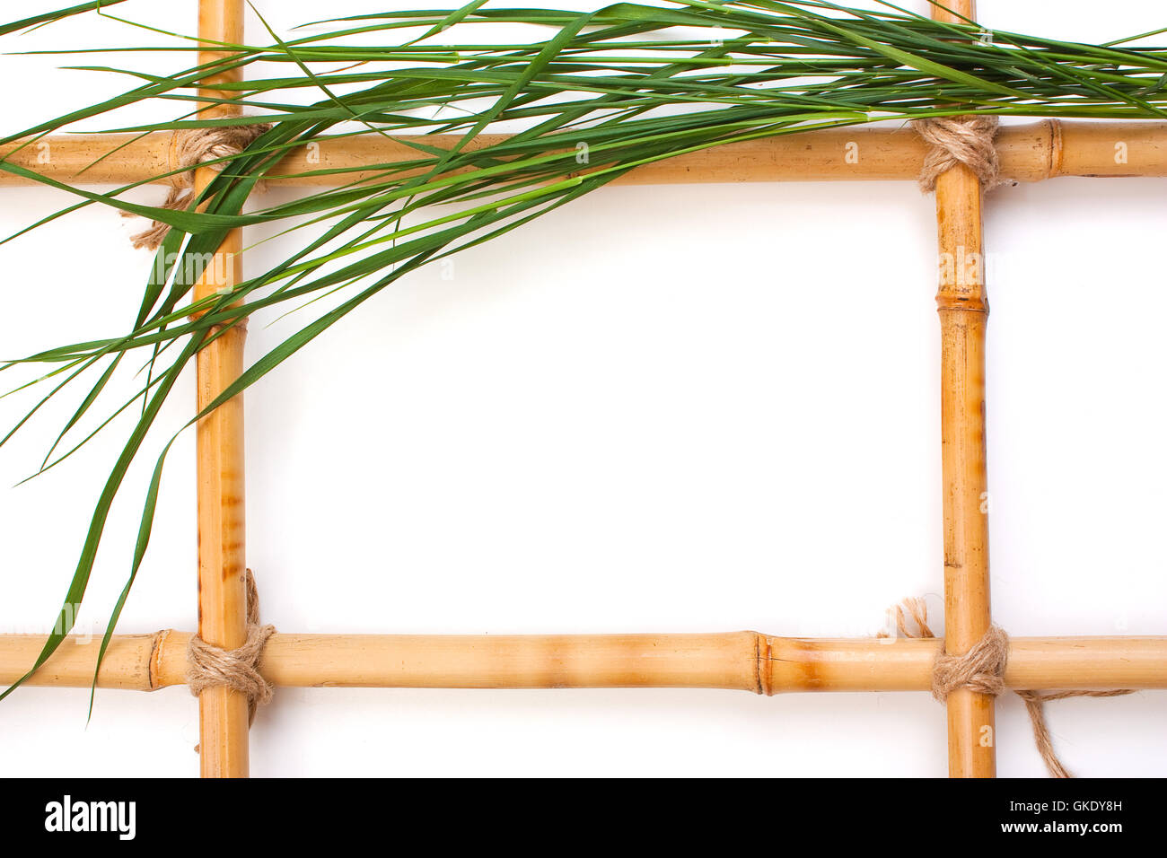 Bamboo leaves frame hi-res stock photography and images - Alamy