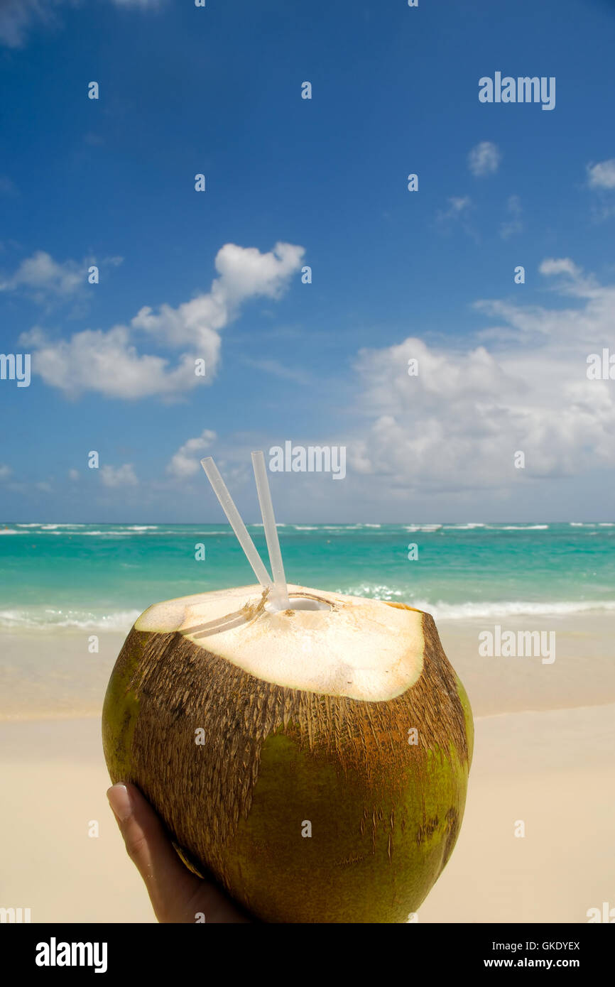 Exotic coconut cocktail hi-res stock photography and images - Alamy