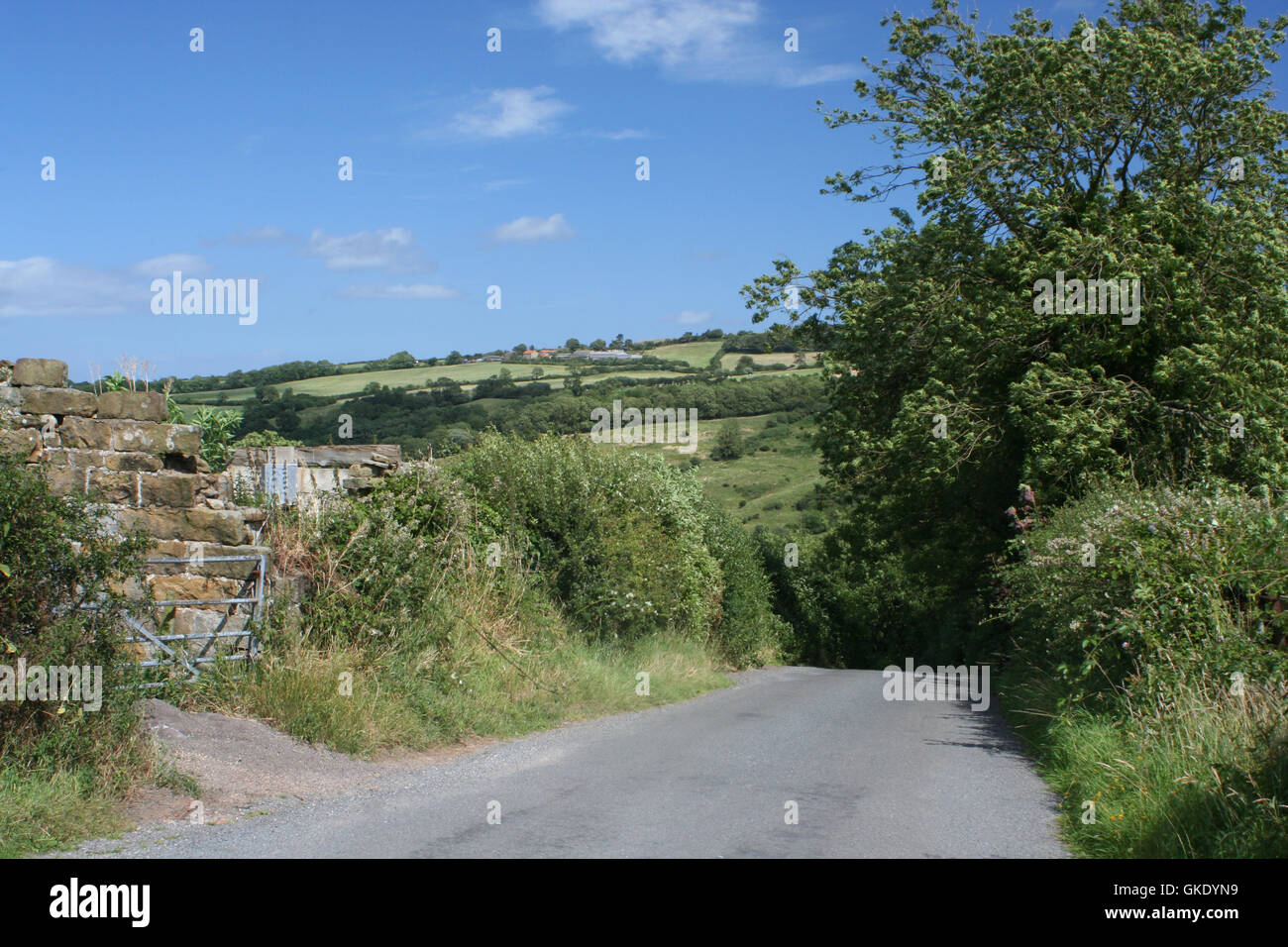Littlebeck hi-res stock photography and images - Alamy