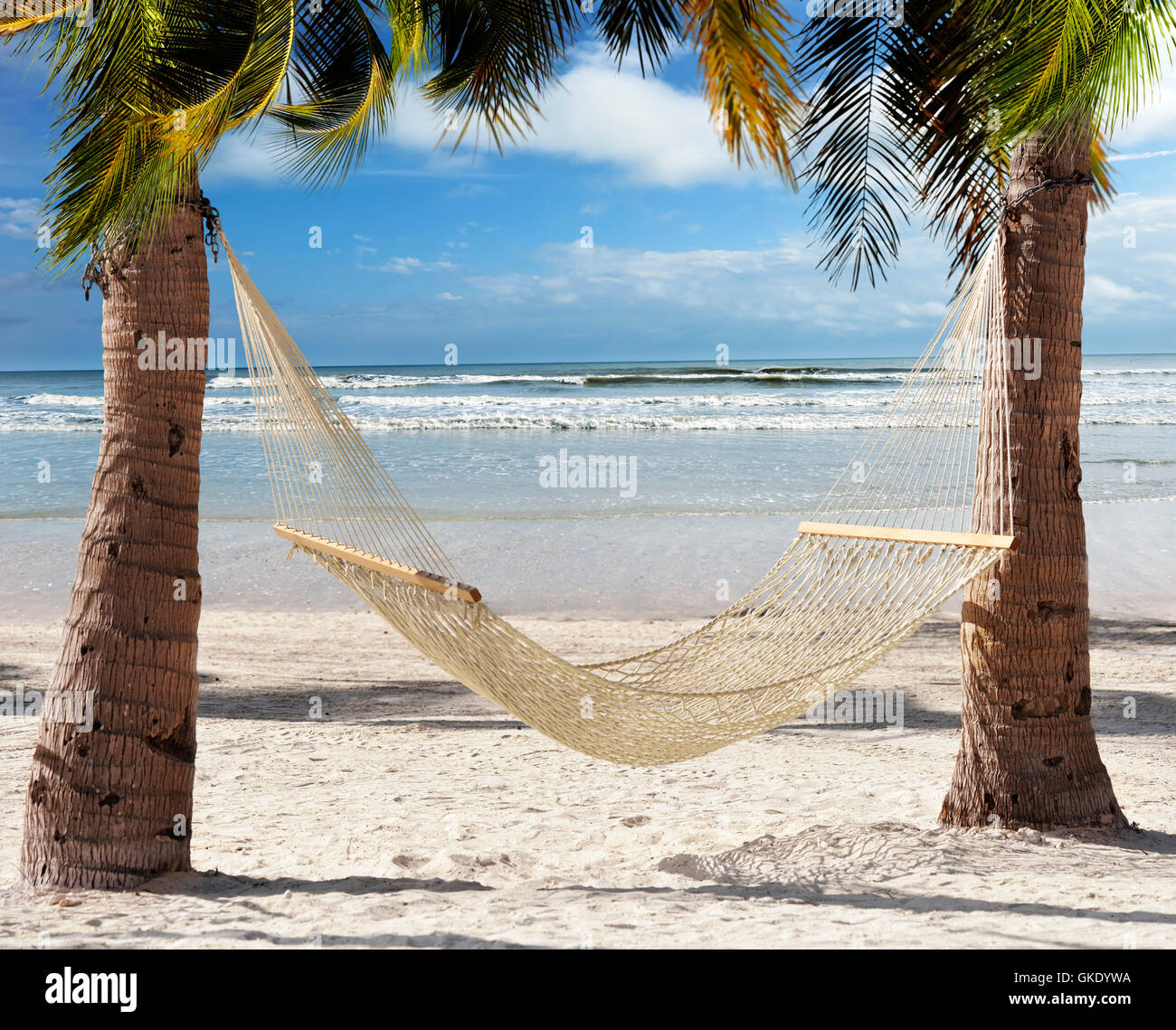 Seaside tree hi-res stock photography and images - Alamy