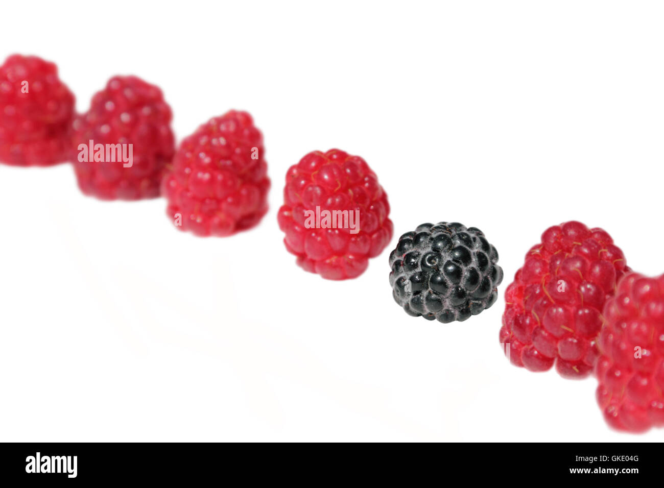 concept, a symbol of singularity, uncommonness Stock Photo - Alamy