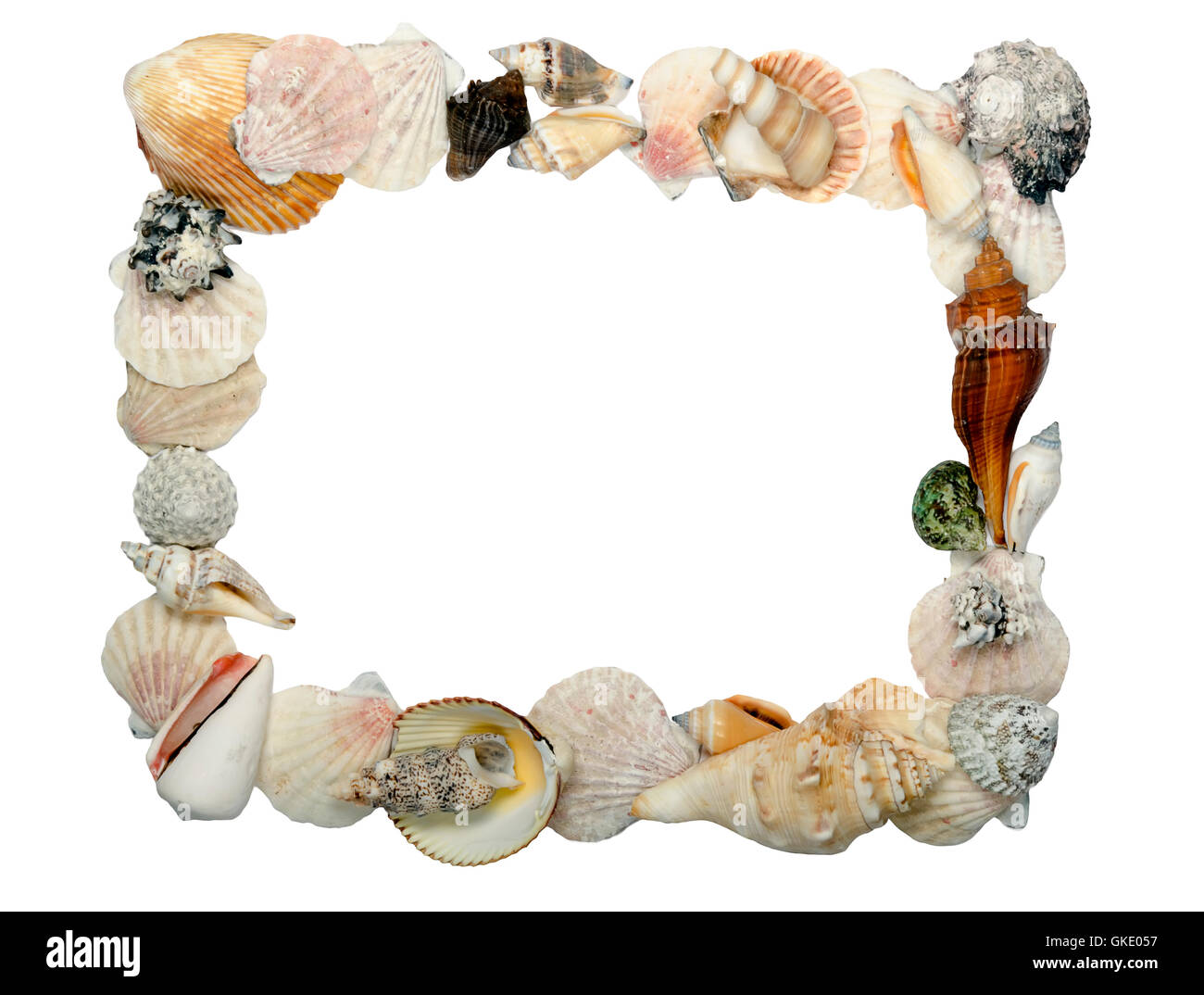 frame made of shells, place for text Stock Photo - Alamy