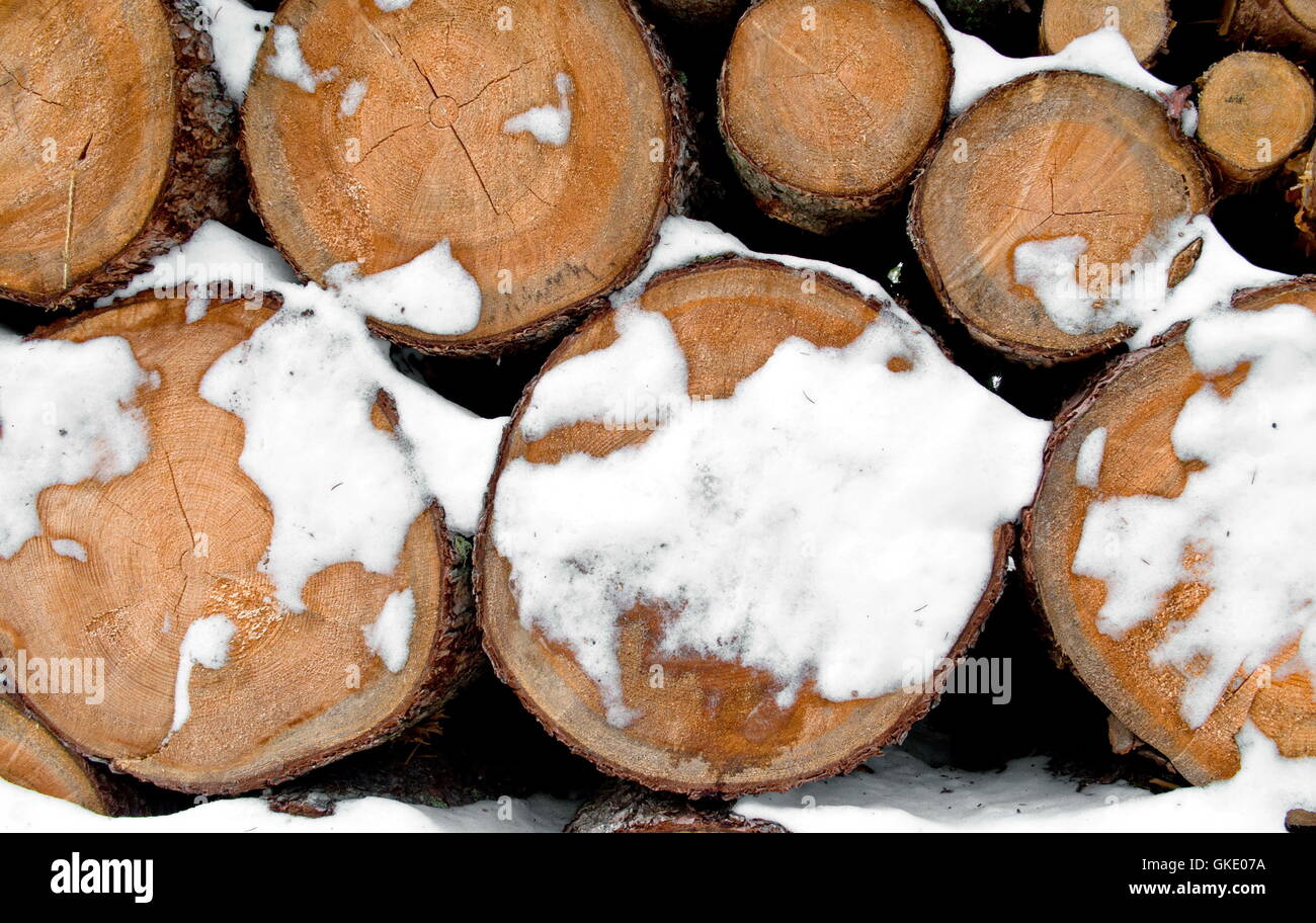 Log stack lumber with snow Stock Photo - Alamy