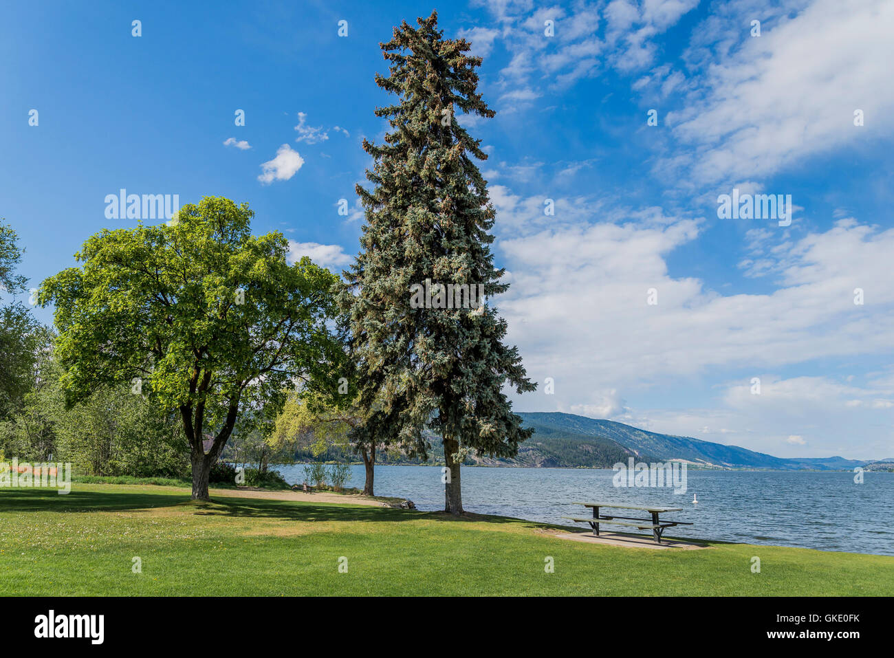 Beasley lake hi-res stock photography and images - Alamy