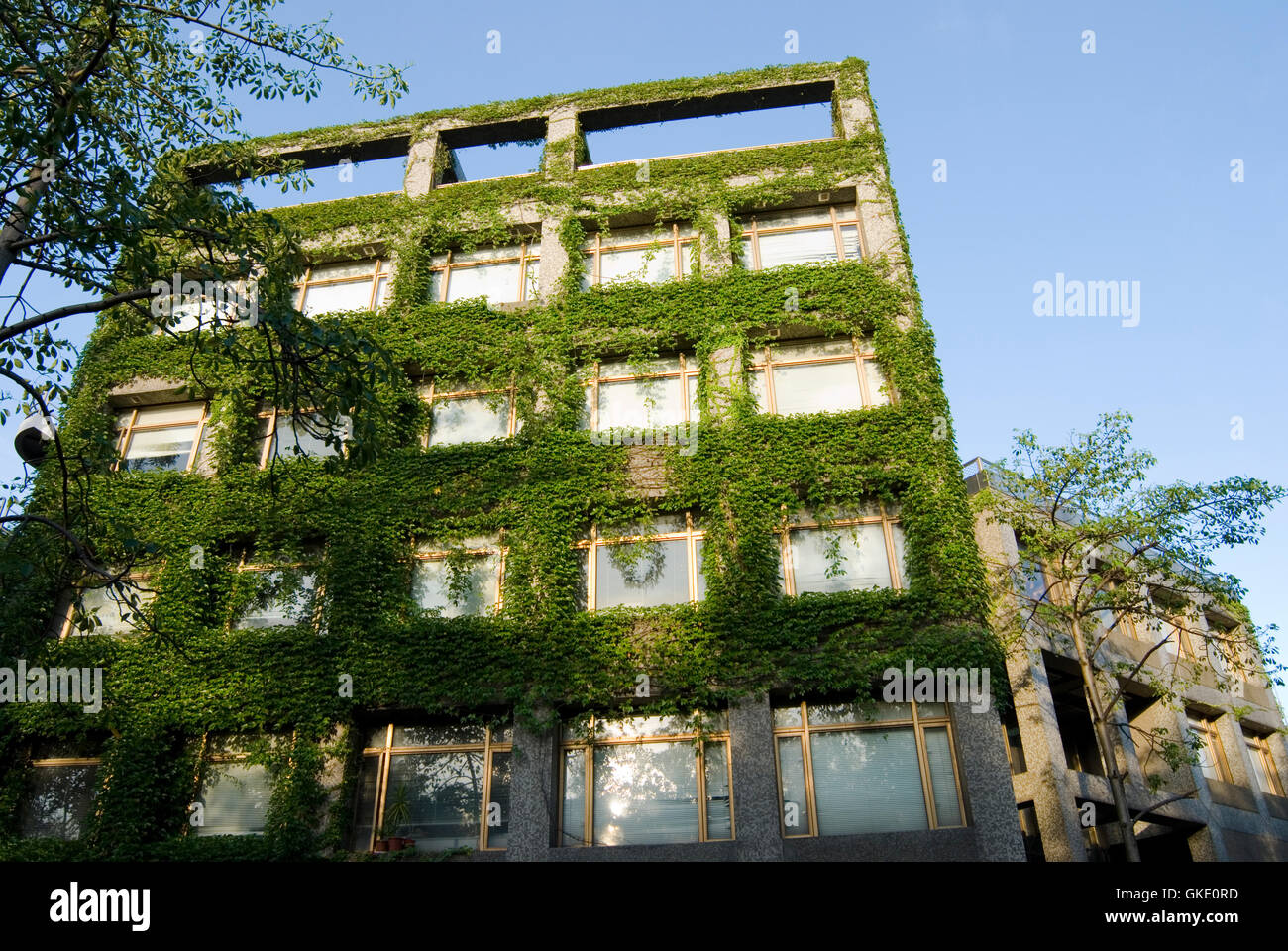Building covers by real green plants Stock Photo - Alamy