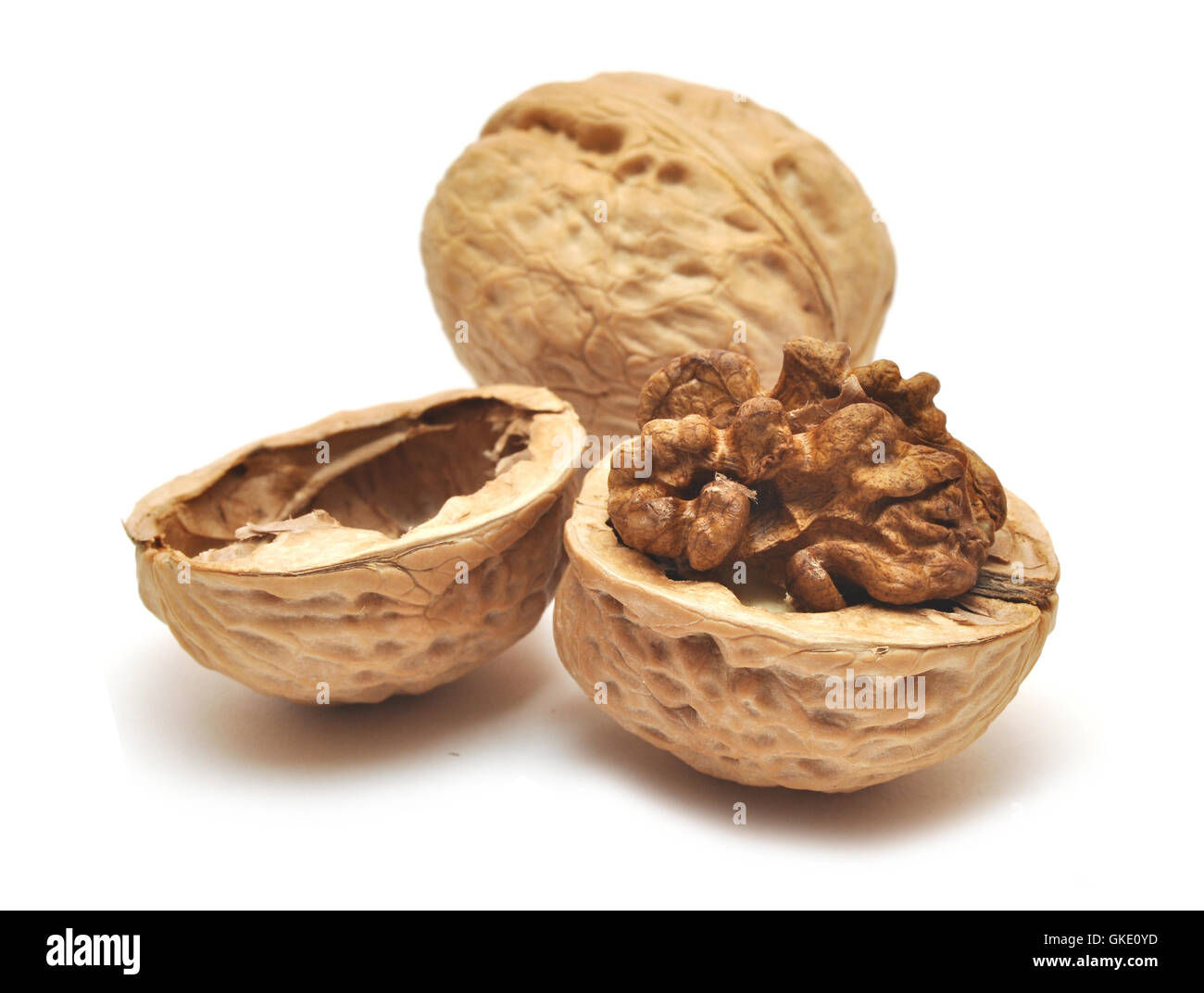 closeup of a walnut Stock Photo - Alamy