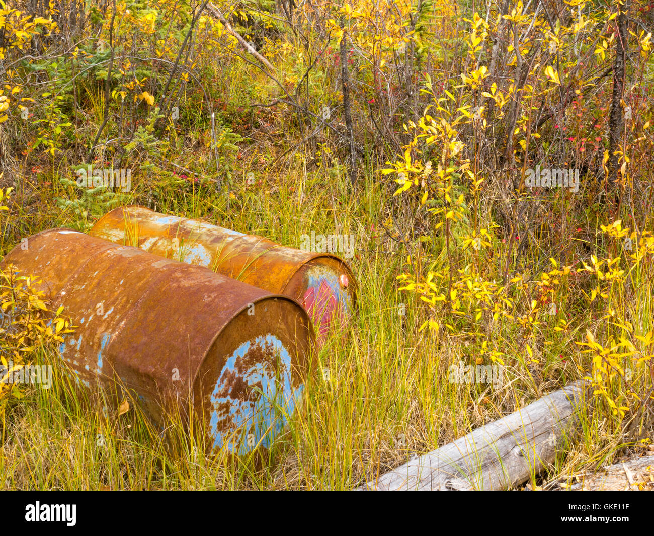 Rusting oil barrels being an environmental hazard Stock Photo - Alamy