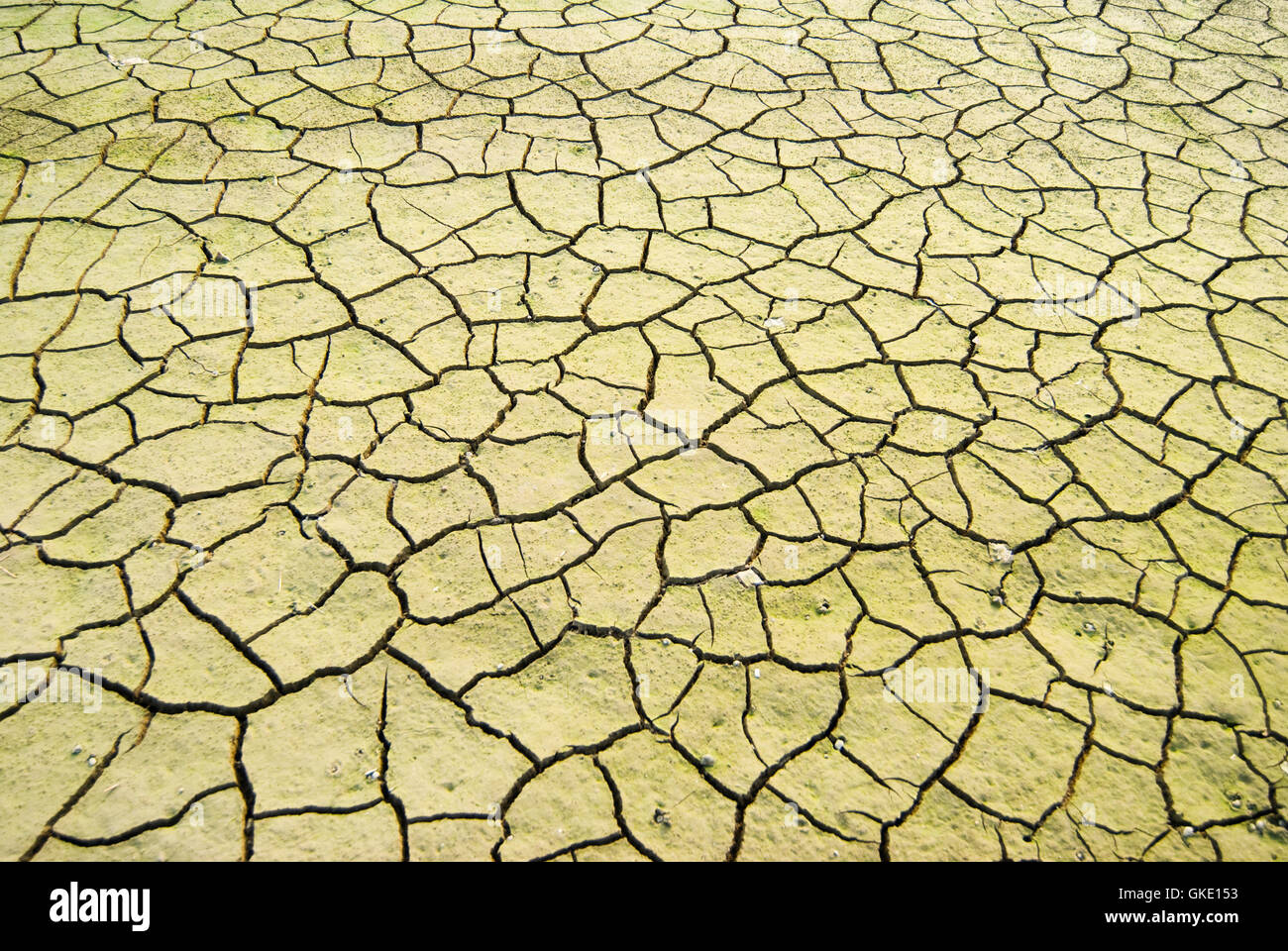 drought land was cracked Stock Photo - Alamy