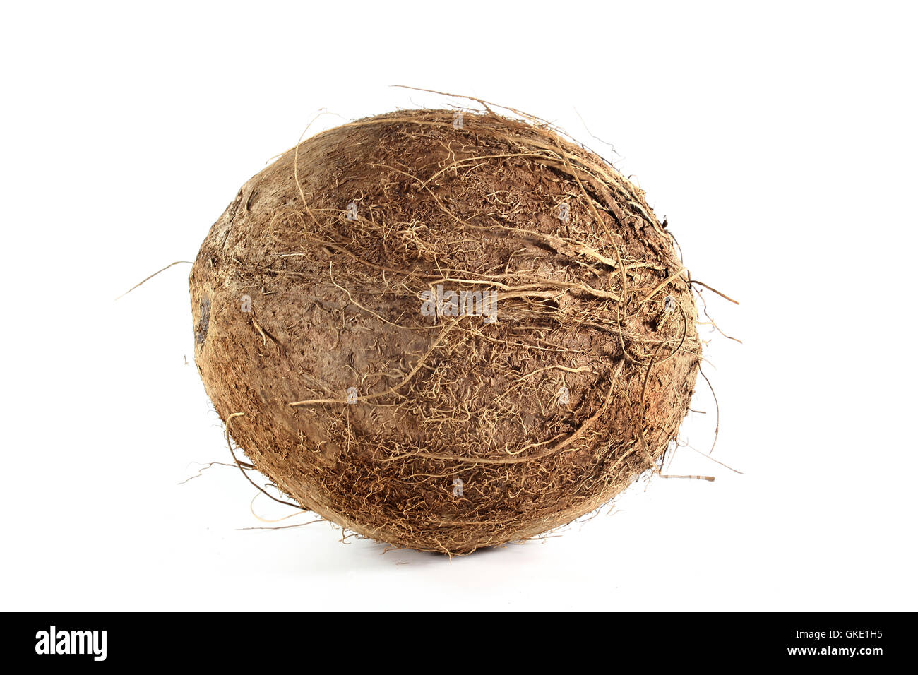 Coconut tree nuts Cut Out Stock Images & Pictures - Alamy