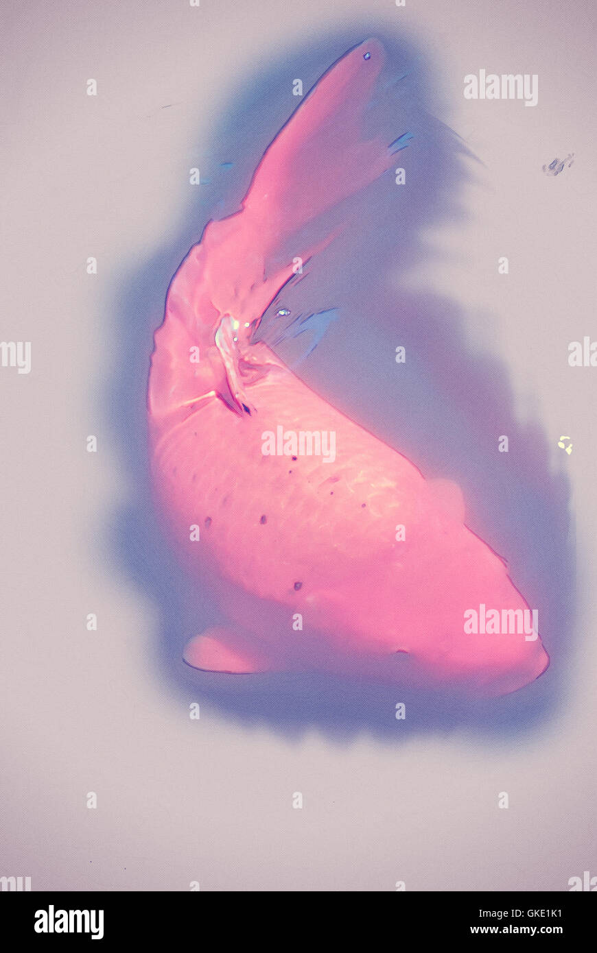 Turbid waters hi-res stock photography and images - Alamy