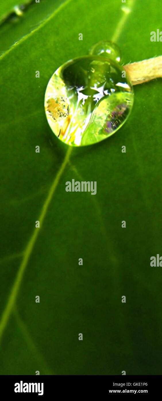 Drop mirror hi-res stock photography and images - Alamy
