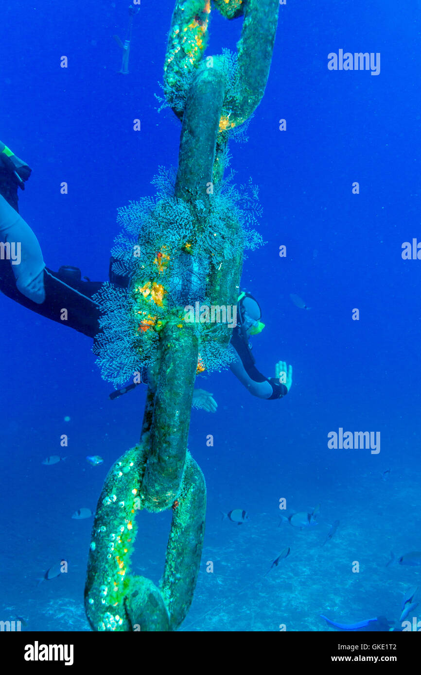 Zenobia shipwreck hi-res stock photography and images - Alamy