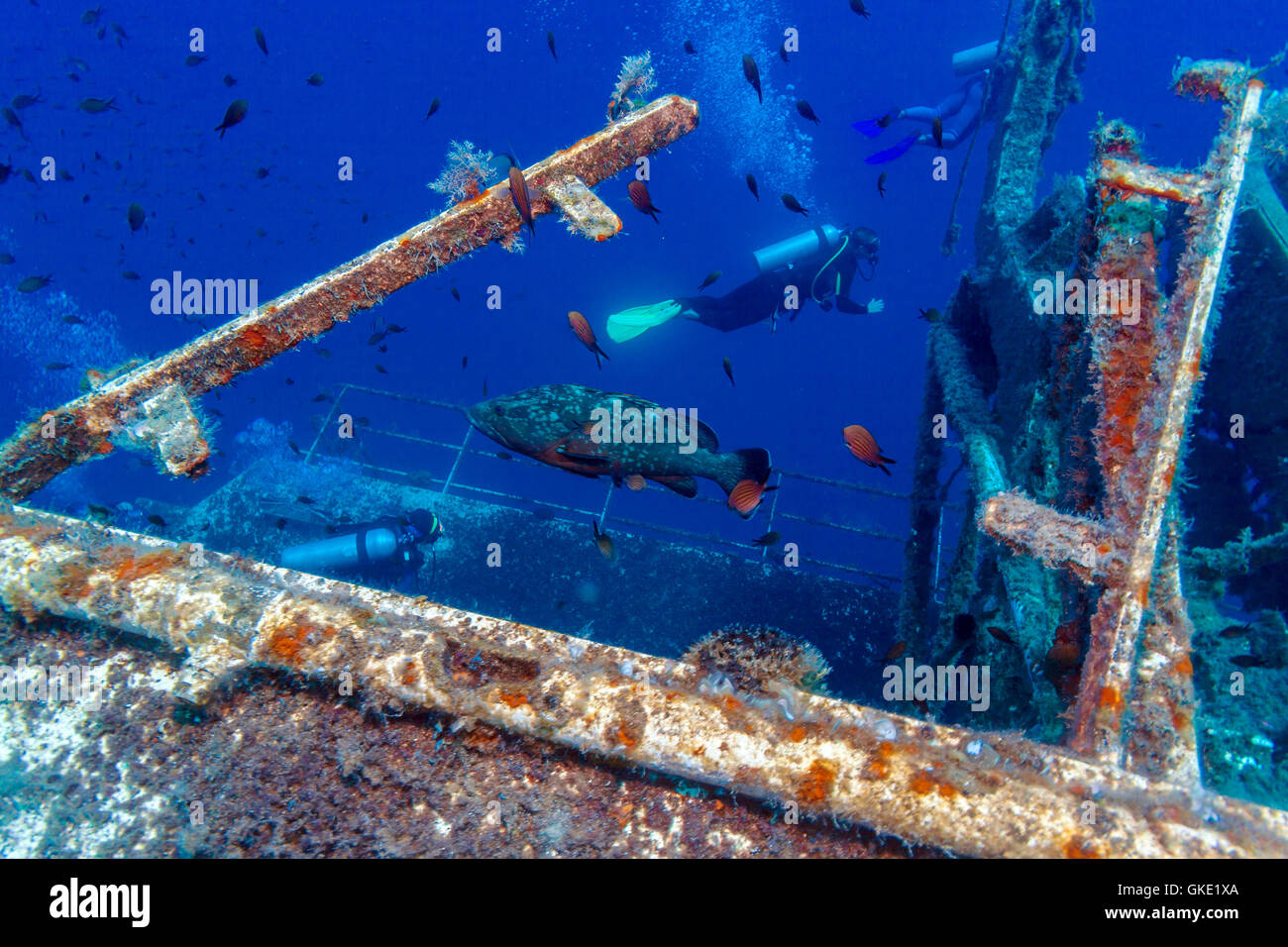 Zenobia shipwreck High Resolution Stock Photography and Images - Alamy