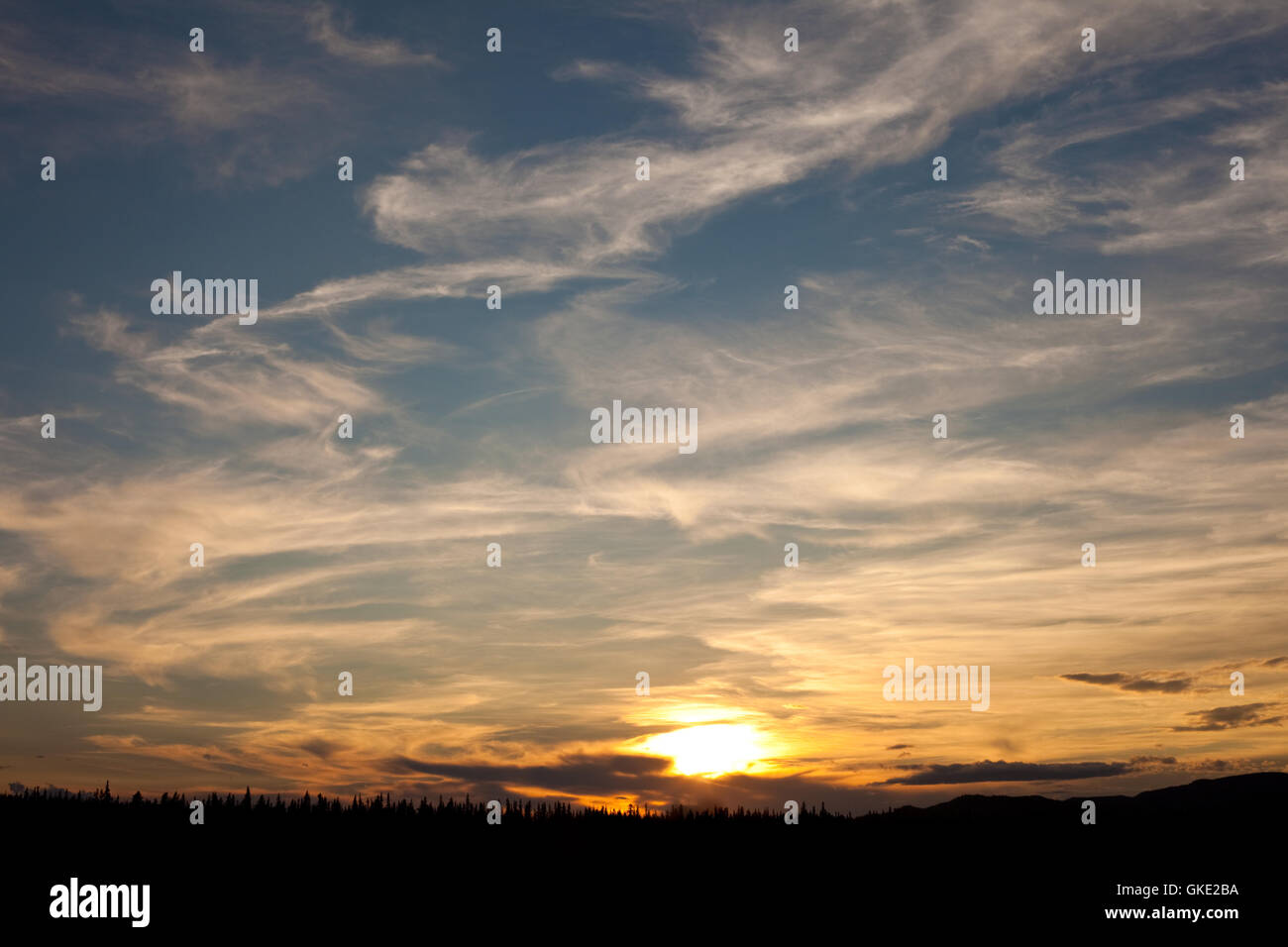 Sunset over boreal forest Stock Photo - Alamy