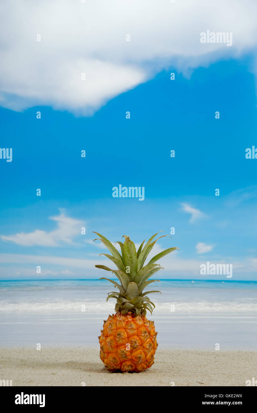 Beach and pineapple hi-res stock photography and images - Alamy