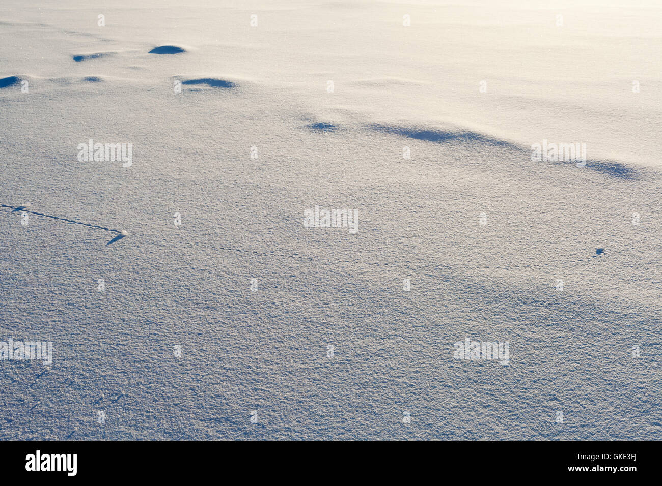 Trajectory lines on snow surface Stock Photo - Alamy