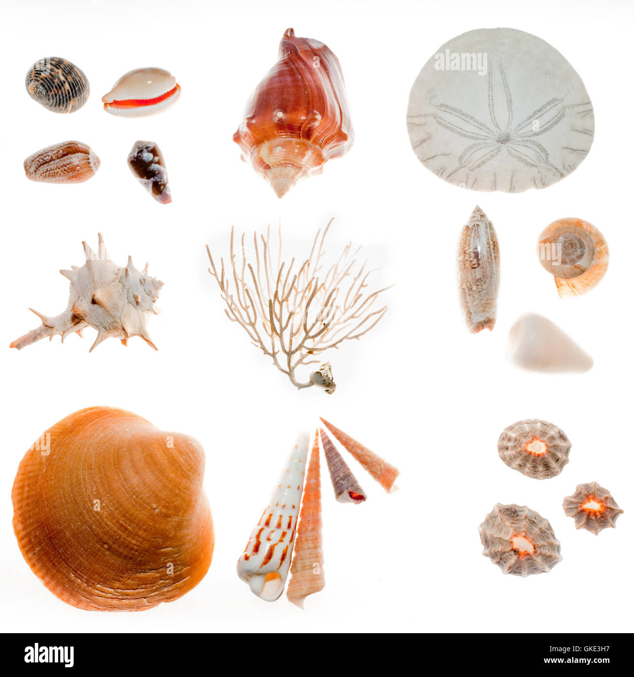 Beachcombing Cut Out Stock Images & Pictures - Alamy