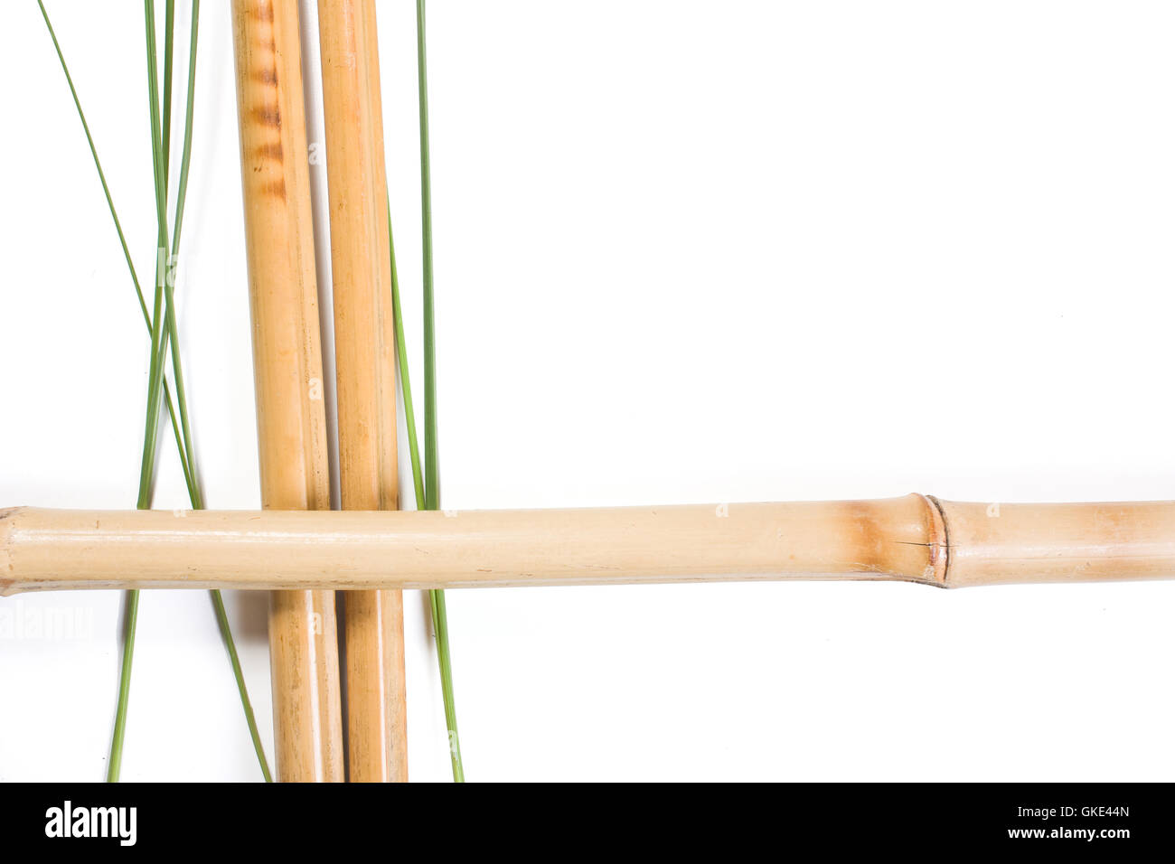 Plant of bamboo Cut Out Stock Images & Pictures - Alamy