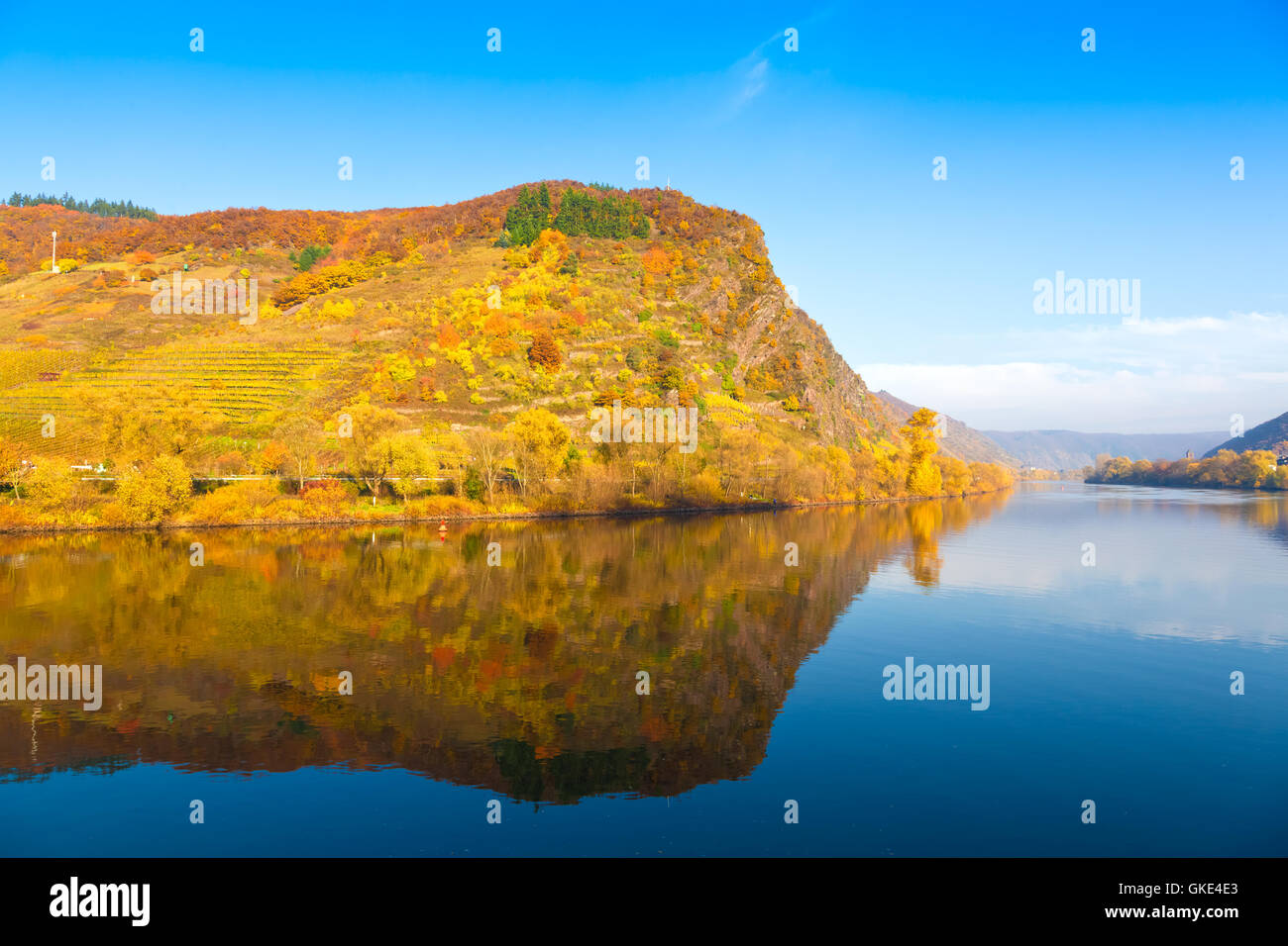 Moselle (Mosel), Germany Stock Photo - Alamy