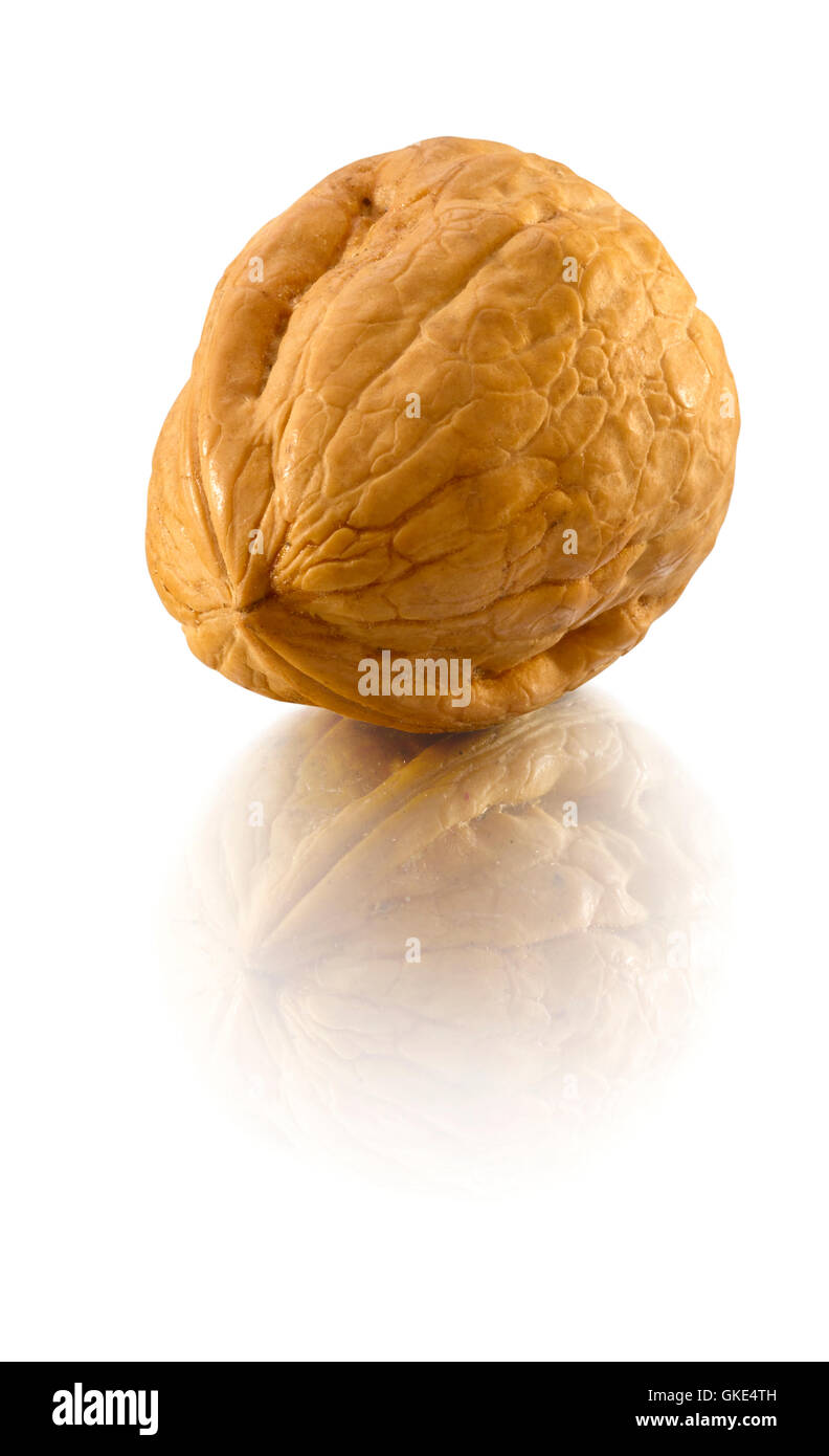 Eating walnut Cut Out Stock Images & Pictures - Alamy