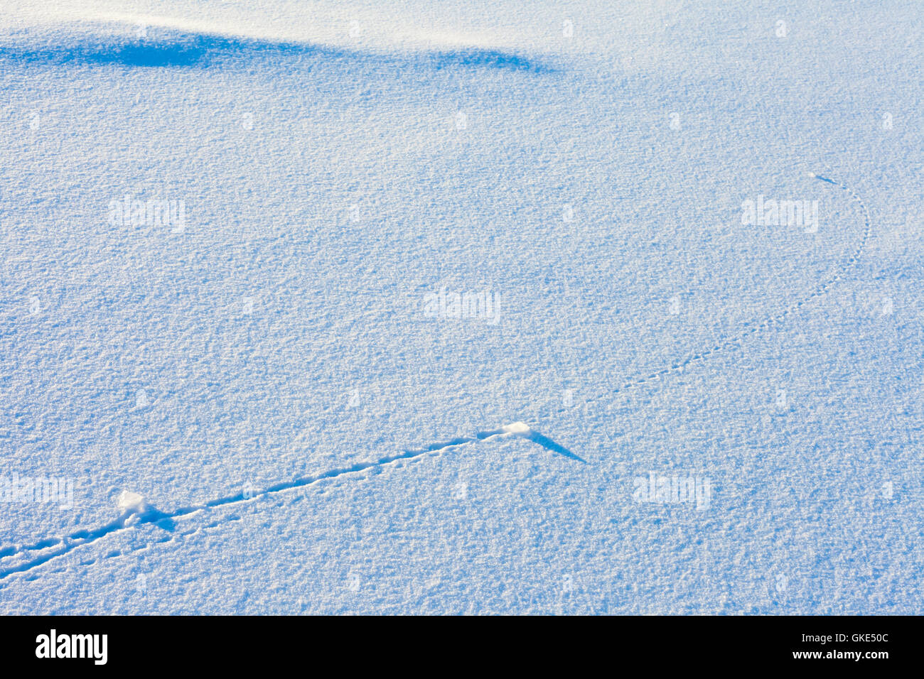 Trajectory lines on snow surface Stock Photo - Alamy