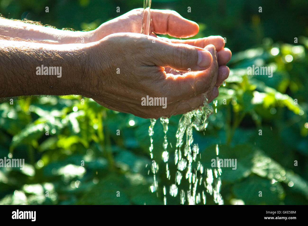Hand washing in the summer of clean water Stock Photo - Alamy