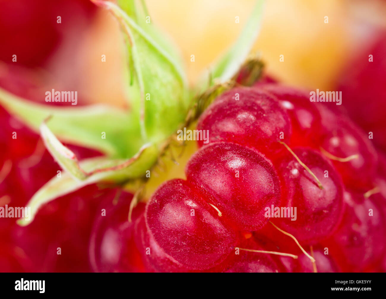 Colorful plateful of food hi-res stock photography and images - Alamy