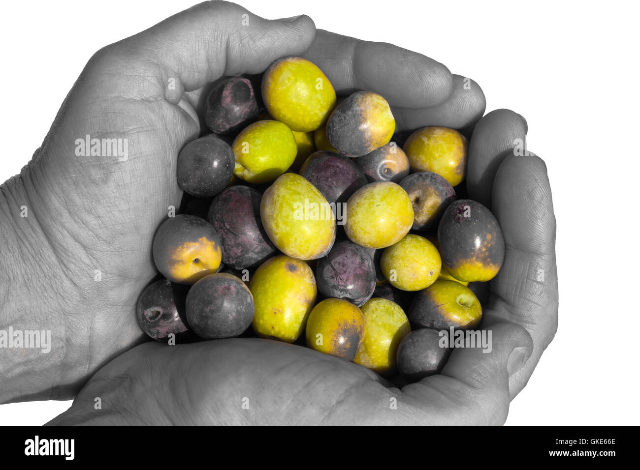 Black laborer hands hi-res stock photography and images - Alamy