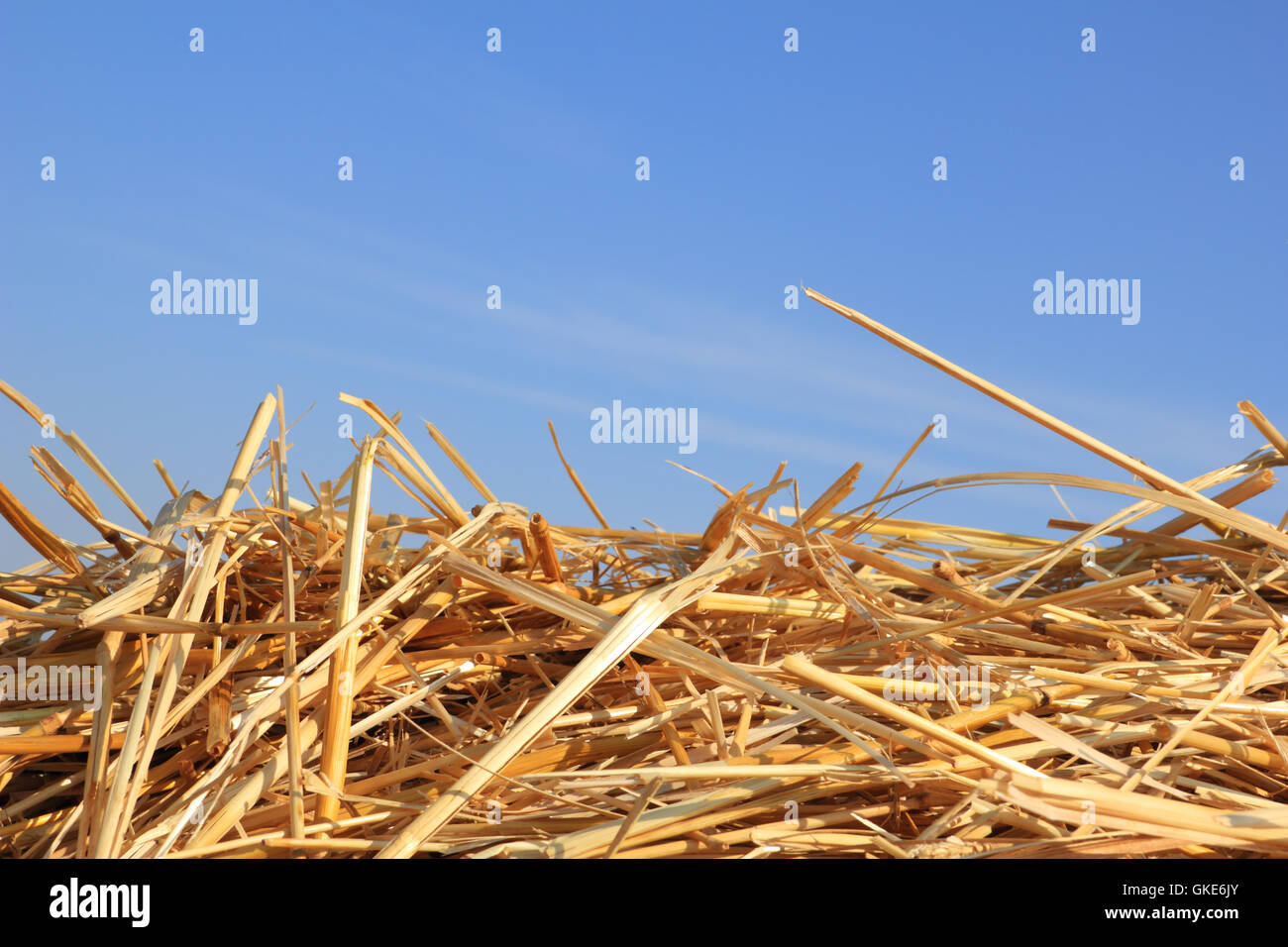 Straw thatch hi-res stock photography and images - Alamy