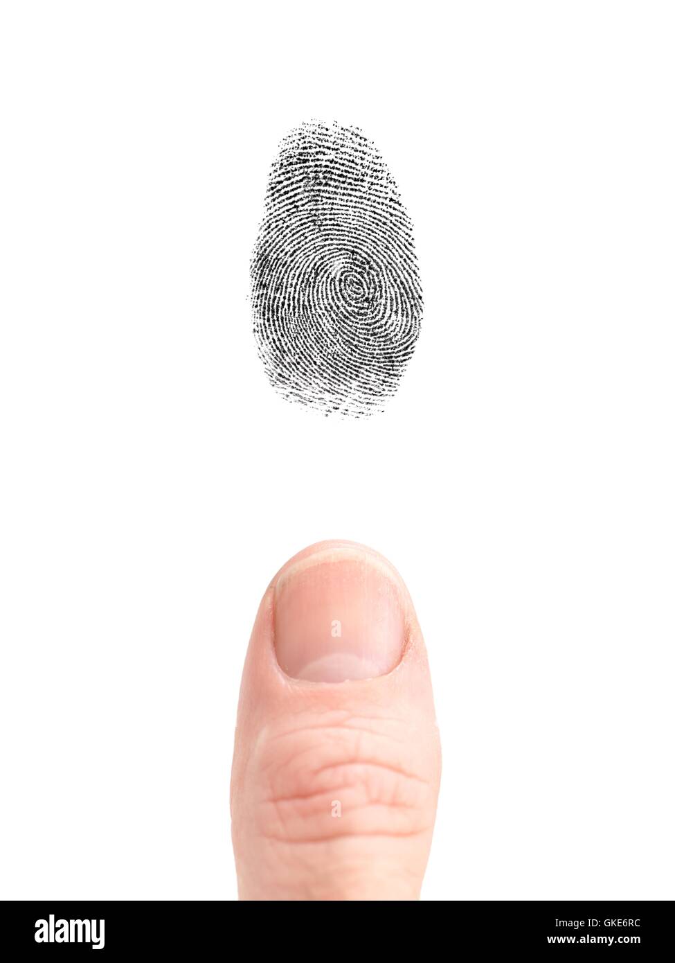 Finger prints science hi-res stock photography and images - Alamy