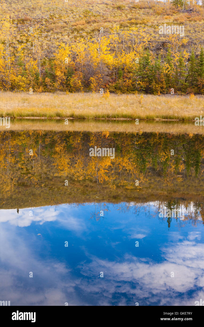 Fall in Yukon Territory, Canada, reflections on water surface Stock ...