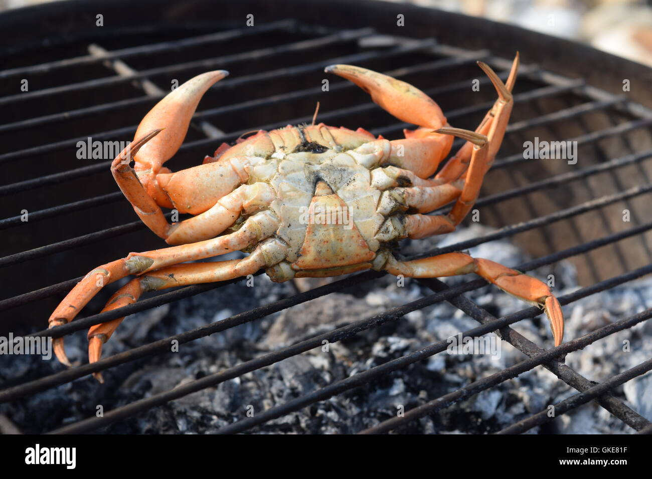 Crab on the BBQ Stock Photo - Alamy