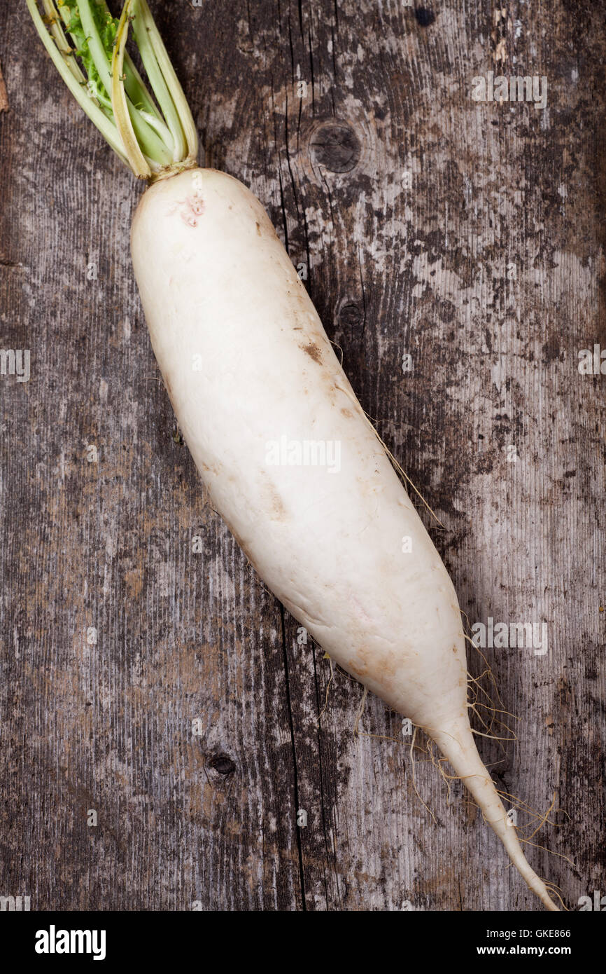 Single radish hi-res stock photography and images - Alamy