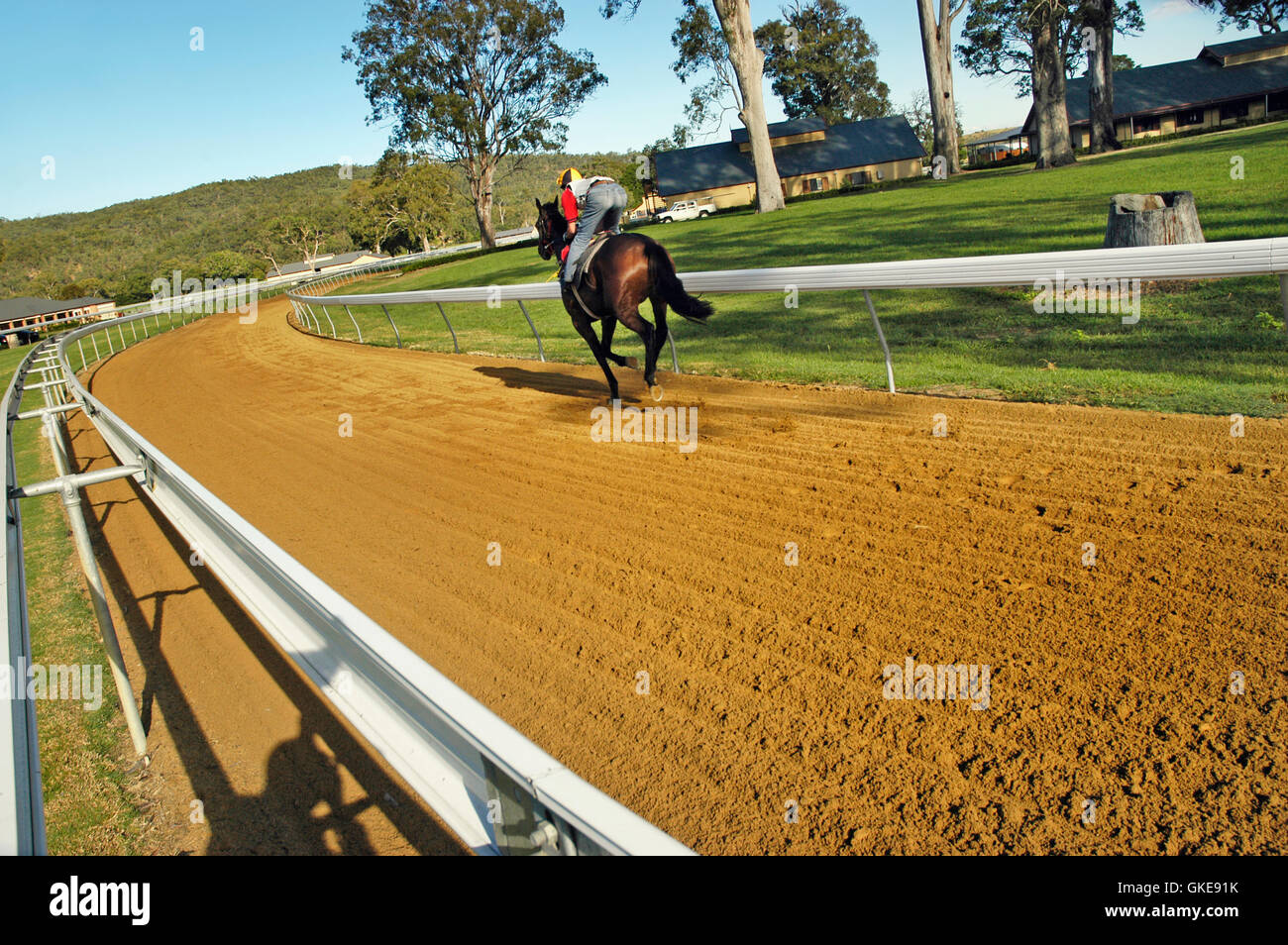 race horse training on the tracks Stock Photo - Alamy