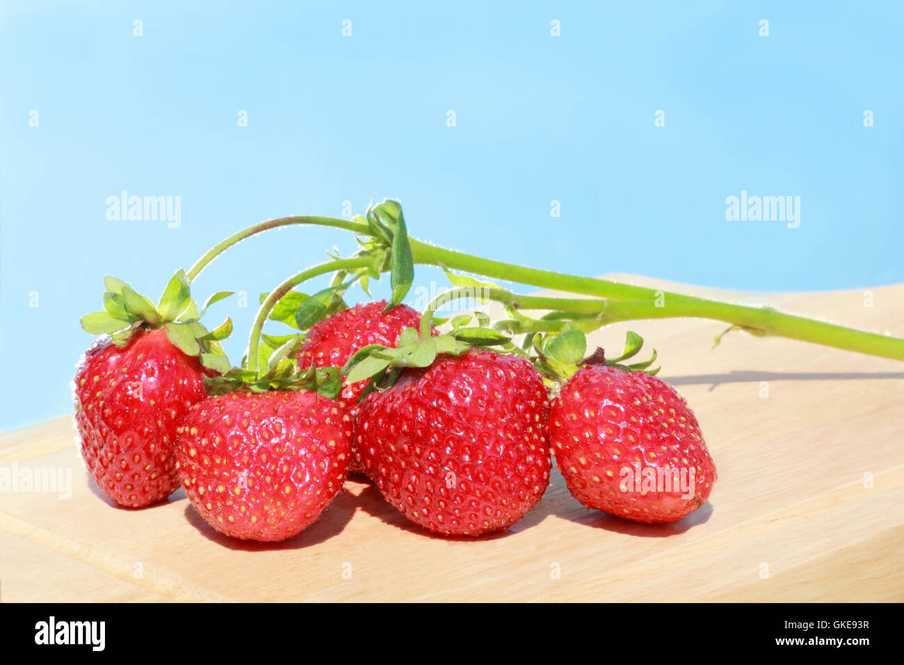 sprig of strawberries on the sky background Stock Photo - Alamy