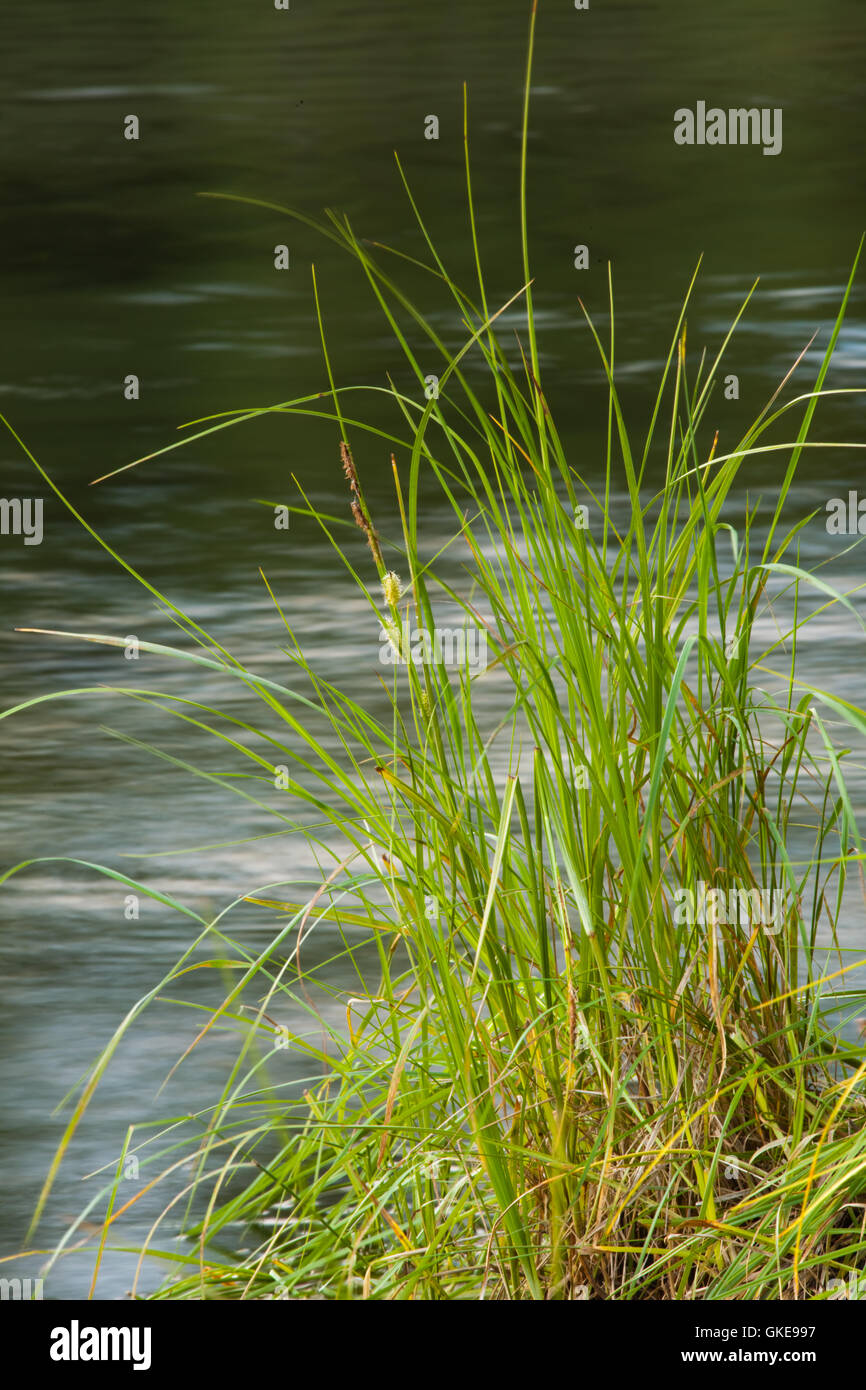 Flow edge hi-res stock photography and images - Alamy