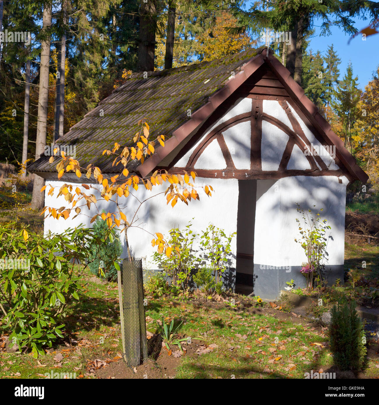 Historic Chapel in fall forest, Eifel, Germany Stock Photo - Alamy