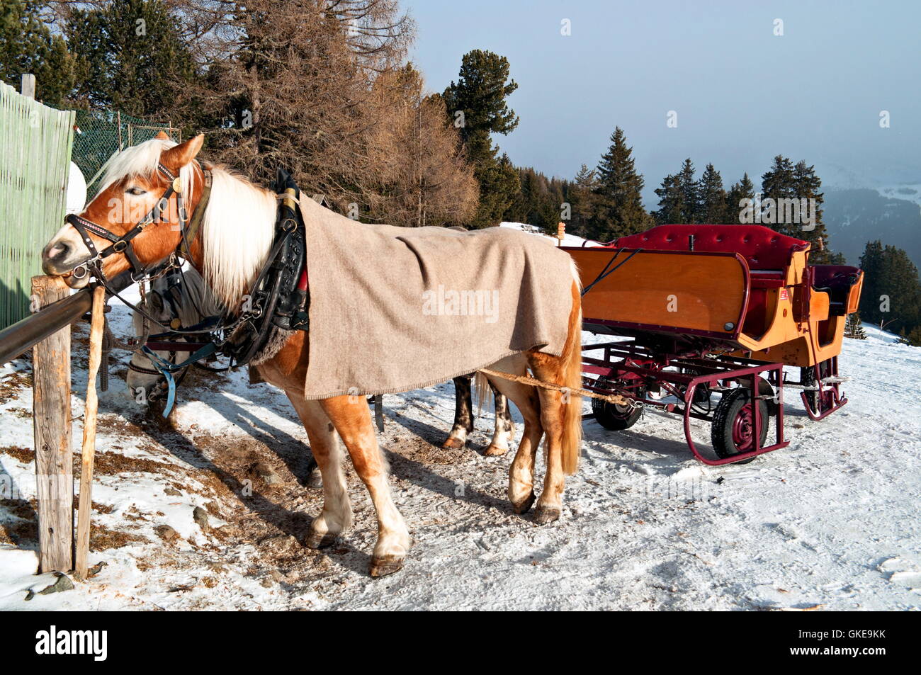 Horse sledges hi-res stock photography and images - Alamy